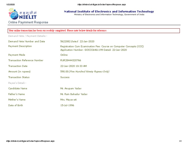 Online Payment Response | PDF