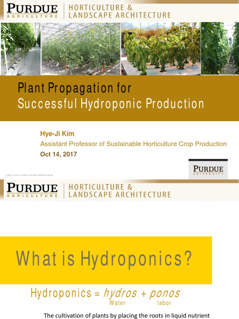 Plant Propagation For Successful Hydroponic Production PDF | PDF ...