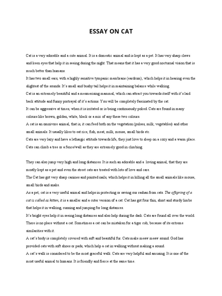 Essay On Cat | PDF | Mouse | Cats