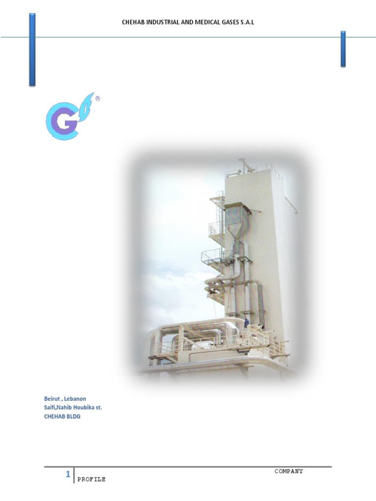 Chehab Industrial & Medical Gases Overview | PDF | Applied And ...