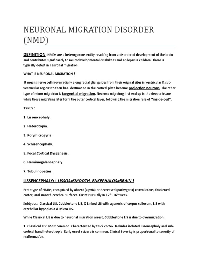 Understanding Neuronal Migration Disorders | PDF | Cerebral Cortex ...