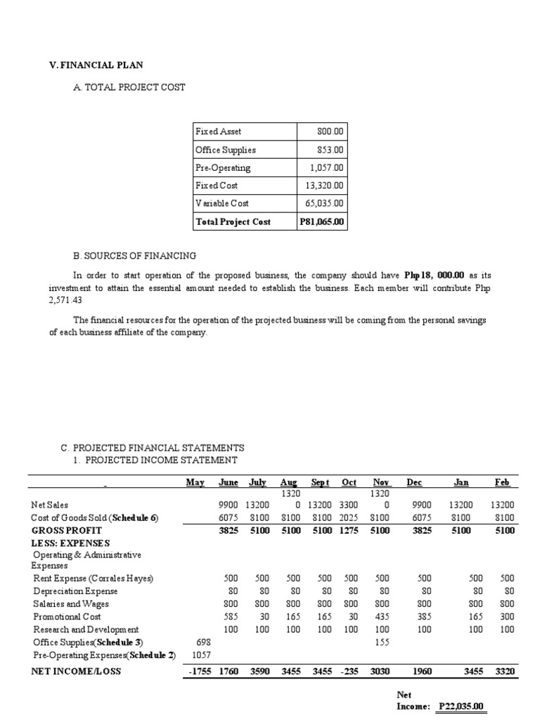 Financial Plan | Download Free PDF | Expense | Financial Services