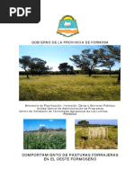 Pasto Buffel. Pennisetum Ciliare (L.) | PDF | Siembra | Aluminio