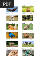 Ejemplos de Los Signos Naturales | PDF
