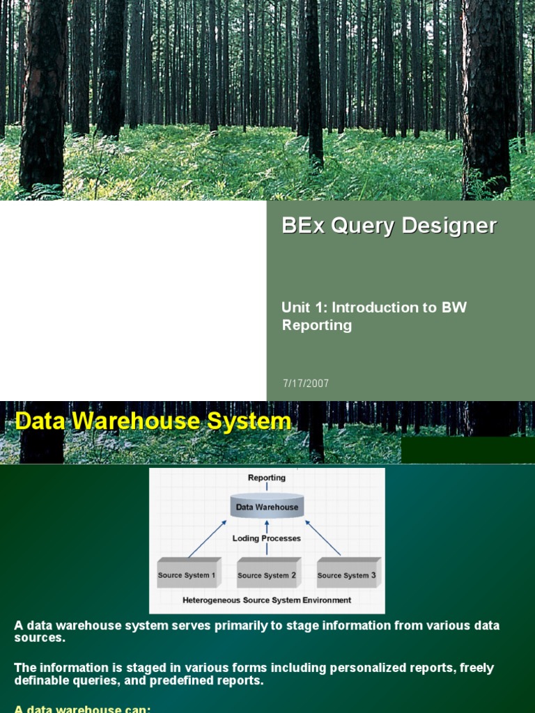Understanding BW Reporting in SAP | PDF | Data Warehouse | Information ...