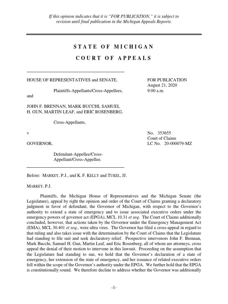 State of Michigan Court of Appeals | PDF | State Of Emergency ...
