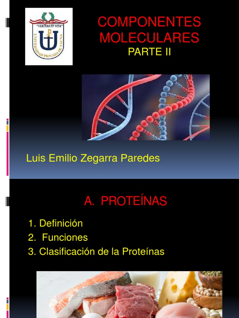 Componentes Moleculares I I | PDF | Vitamina | Rna