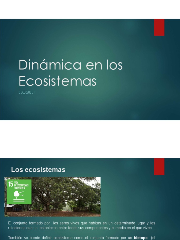 Presentacion 1 Dinamica de Los Ecosistemas | PDF | Red alimentaria | Organismos