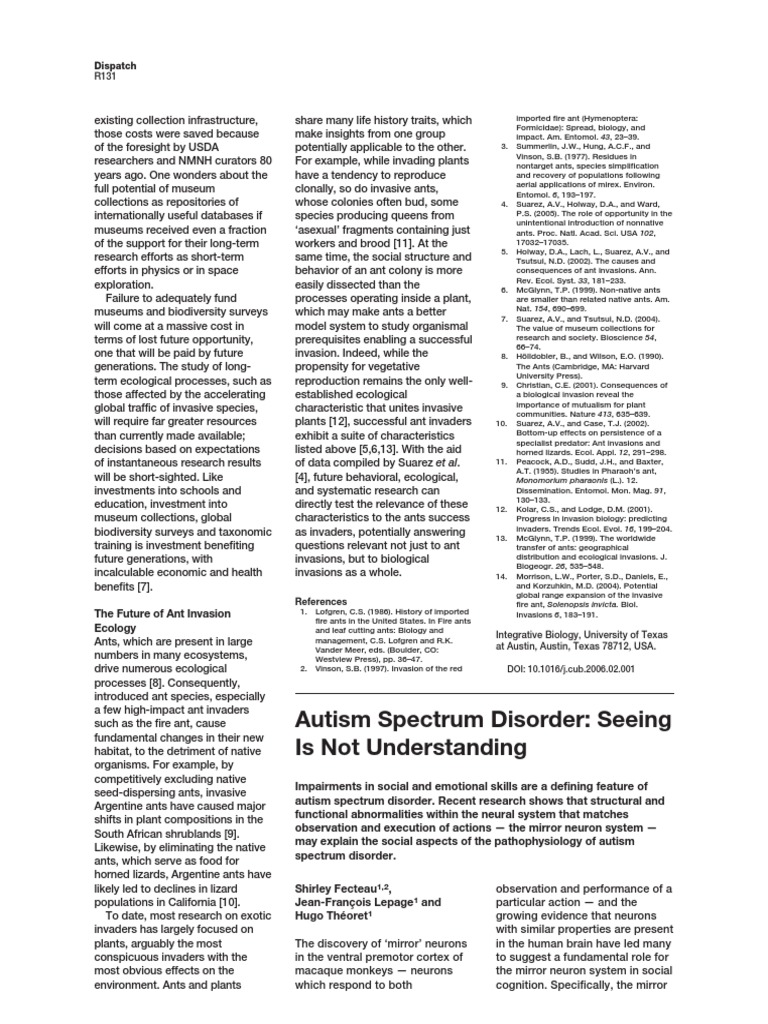 Seeng Is Not Underestanding | PDF | Autism Spectrum | Cerebral Cortex