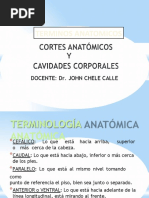 LOCALIZACI+ôN DE ESTRUCTURAS ANAT+ôMICAS. Cavidades Corporales. | PDF | Abdomen | Tórax