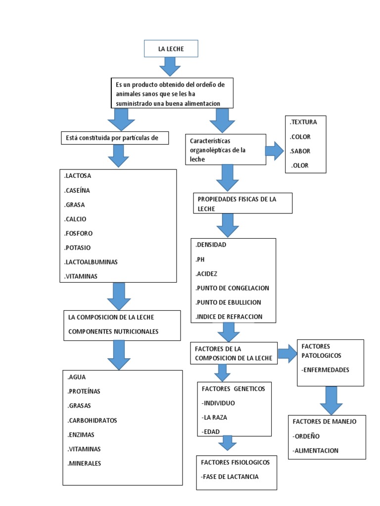 La Leche MAPA CONCEPTUAL | PDF