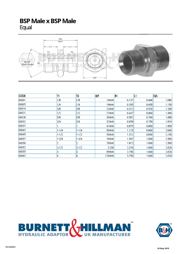 BSP Male X BSP Male: Equal | PDF