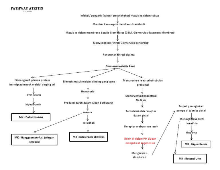 Pathway GNA Ria | PDF