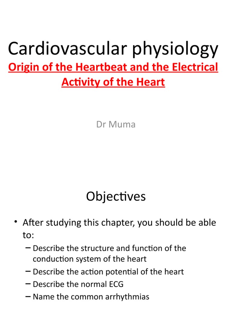 Heartbeat and ECG Fundamentals | PDF | Electrocardiography | Muscle ...