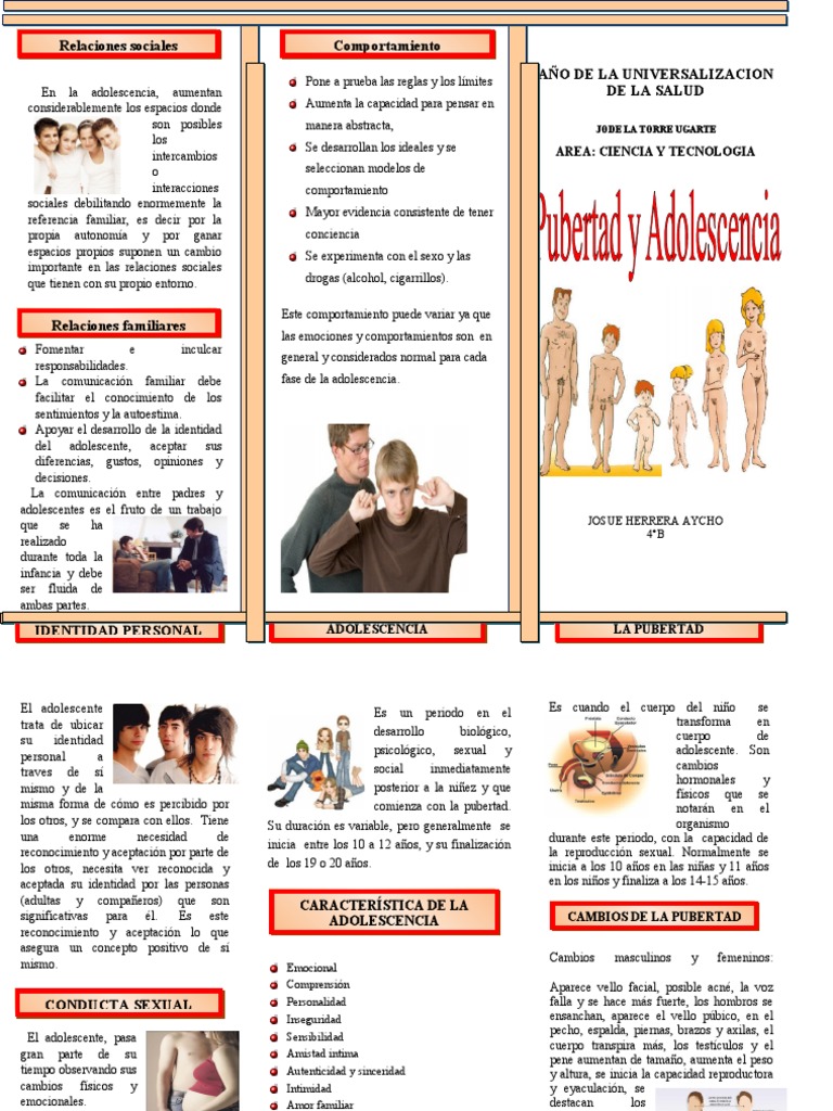 Triptico de La Pubertad y Adolescencia | PDF | Pubertad | Adolescencia