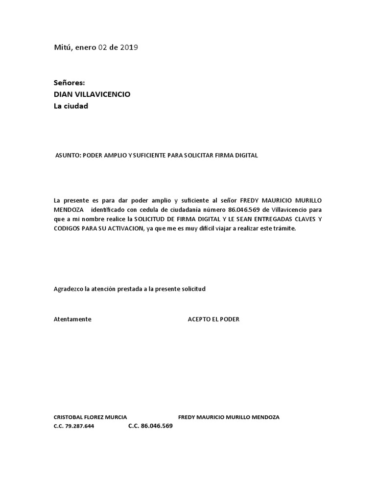 Autorizacion Firma Digital | PDF
