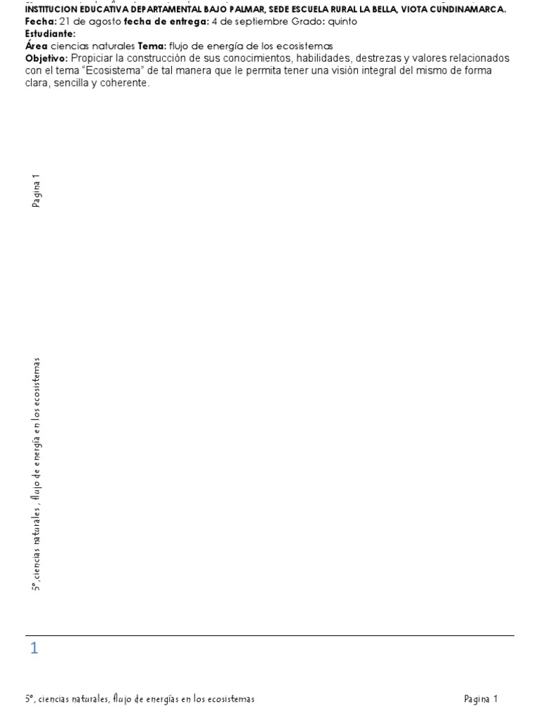 Guia 5 Ciencias Naturales, Flujo de Energía de Los Ecosistemas | PDF ...