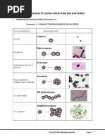 Sporulation et structure des spores bactériennes | PDF | Spore | Biologie