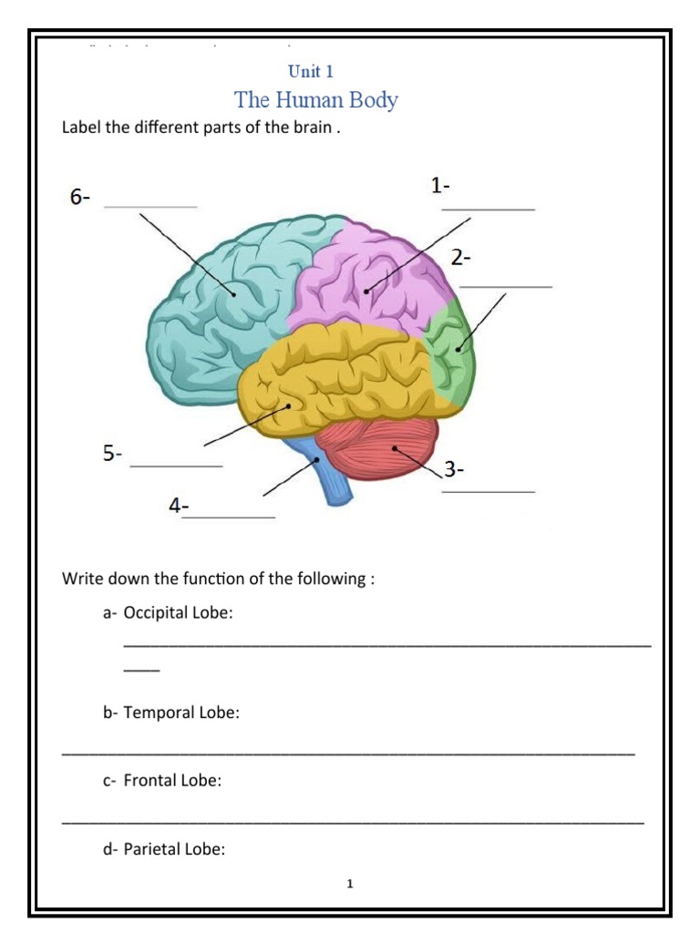 Grade 4 Science Unit 1 | PDF