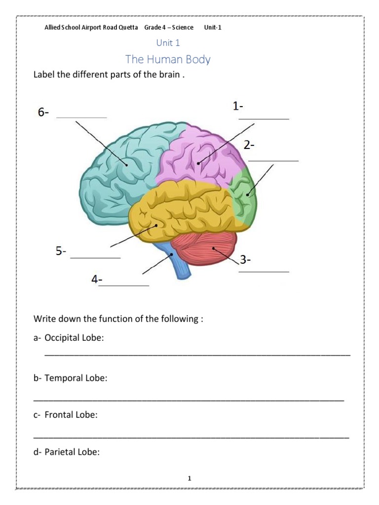 Grade 4 Science Unit 1 | PDF