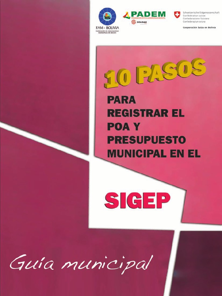 10 Pasos para Registrar El POA y Presupuesto PDF | PDF | Presupuesto ...