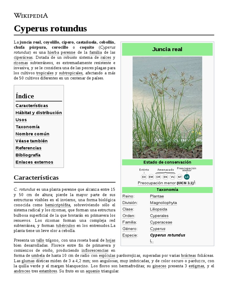 Cyperus Rotundus | PDF | Plantas | Organismos