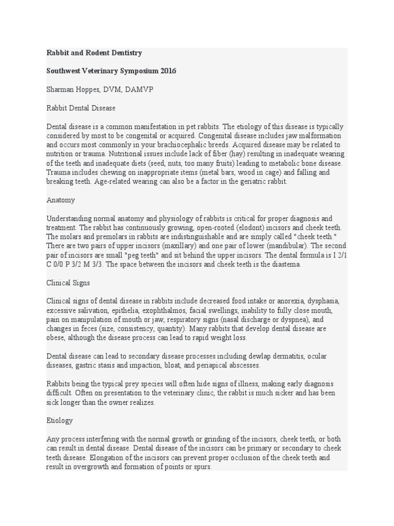 Rabbit and Rodent Dentistry | PDF | Tooth | Dental Anatomy