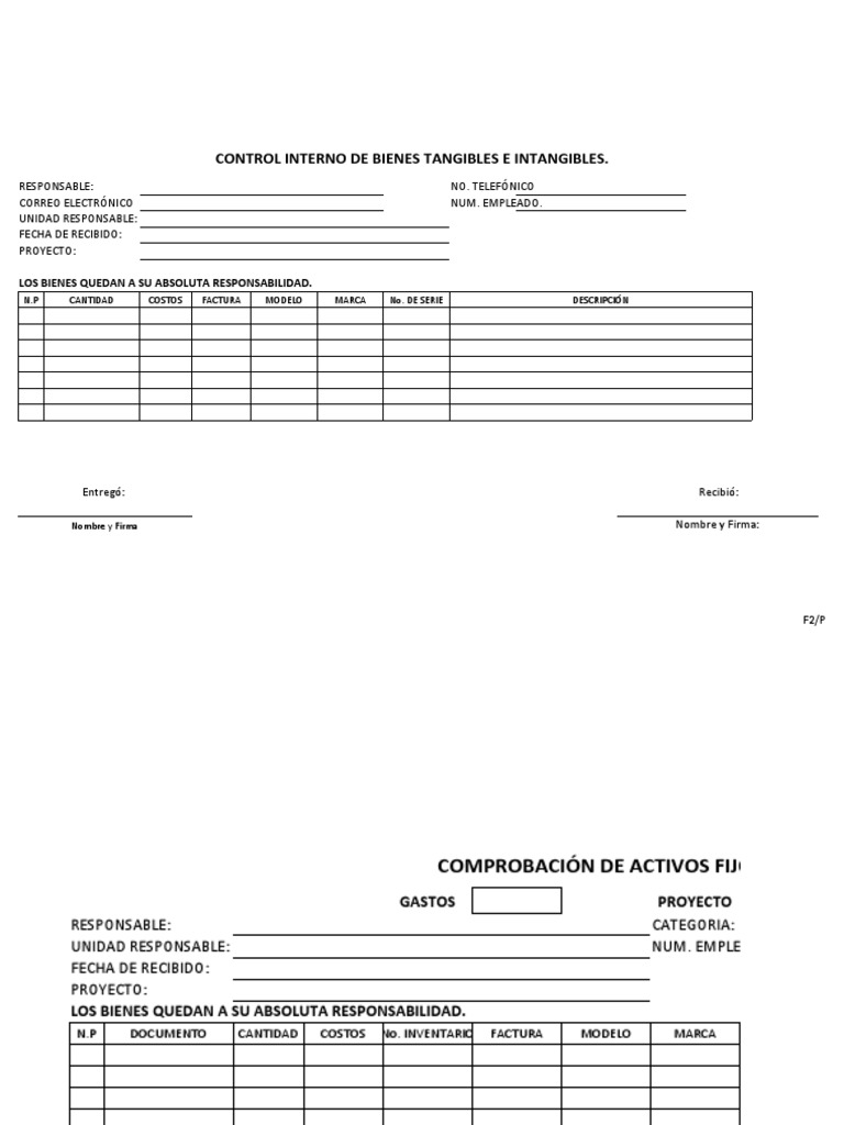 F2 Formato Control Interno Activos Fijos | PDF