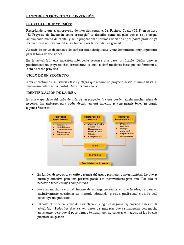 Fase de Un Proyecto de Inversion Reporte | PDF | Producto (Negocio ...