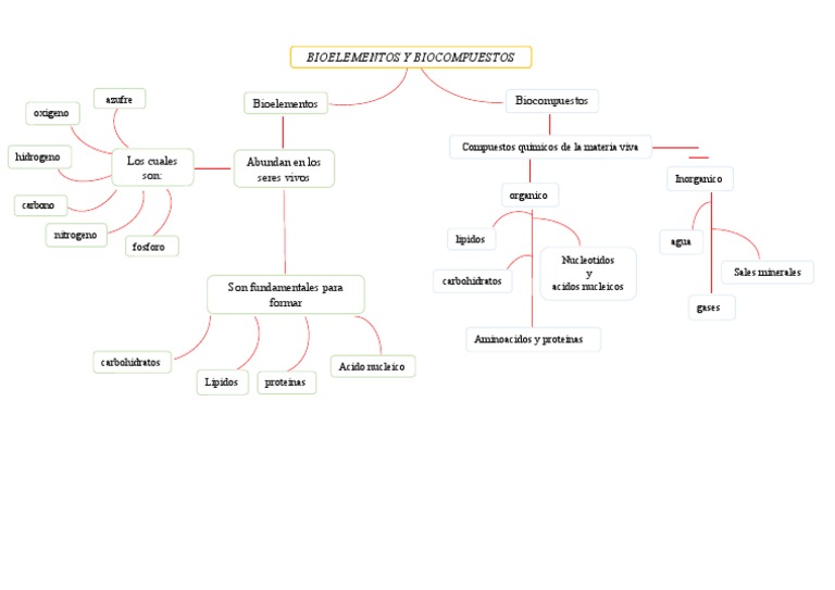 Bioelementos y Biocompuestos | PDF