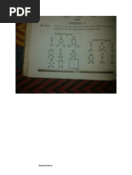 Pakistan Air Force Test Sample Paper | PDF | Question | Intelligence