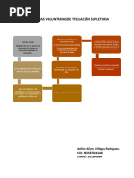 Esquema de Titulación Supletoria | PDF | Propiedad | Posesión (Ley)