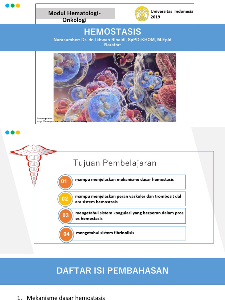 Materi Hemostasis, PPPPP | PDF