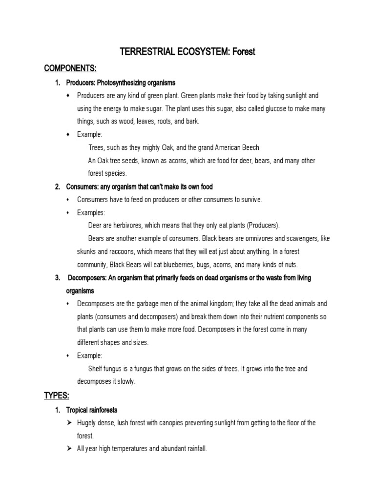 Terrestrial Ecosystem: Forest: Components | PDF | Forests | Trees