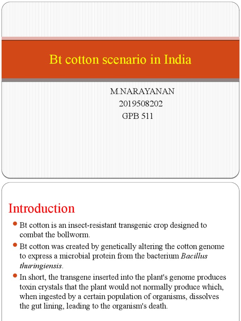 BT Cotton | PDF | Cotton | Agronomy