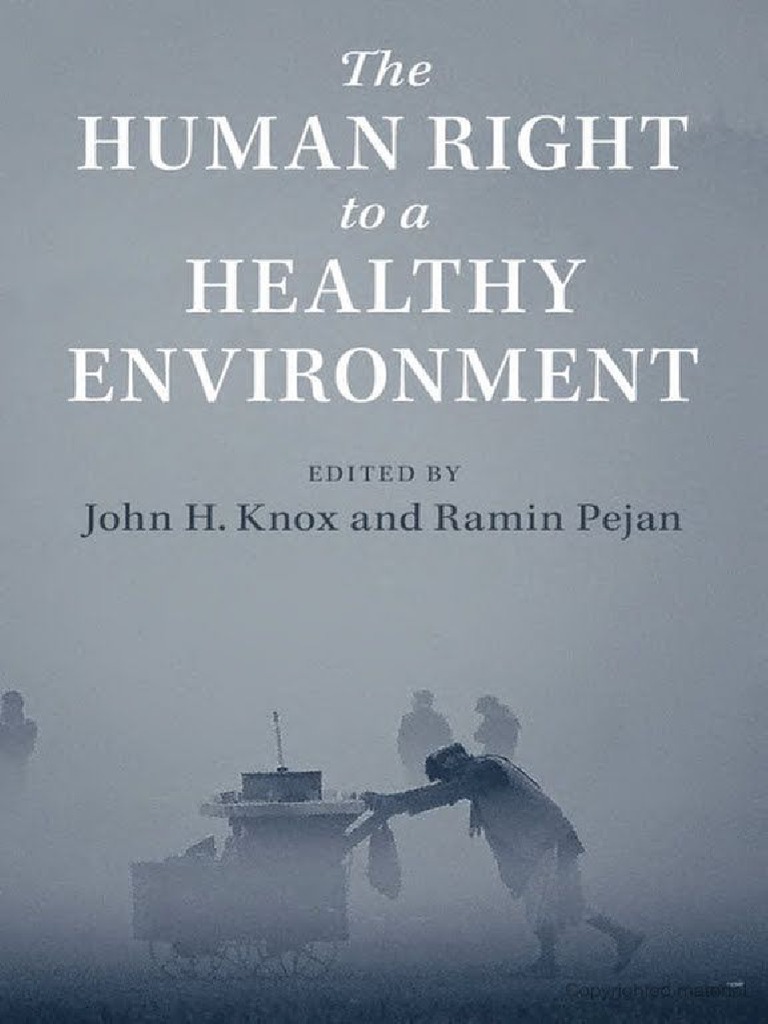 The Human Right To A Healthy Environment PDF | PDF | Environmental ...