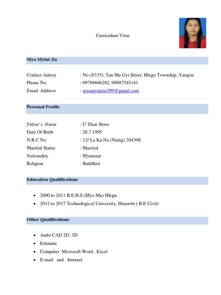 CV Form PDF | PDF