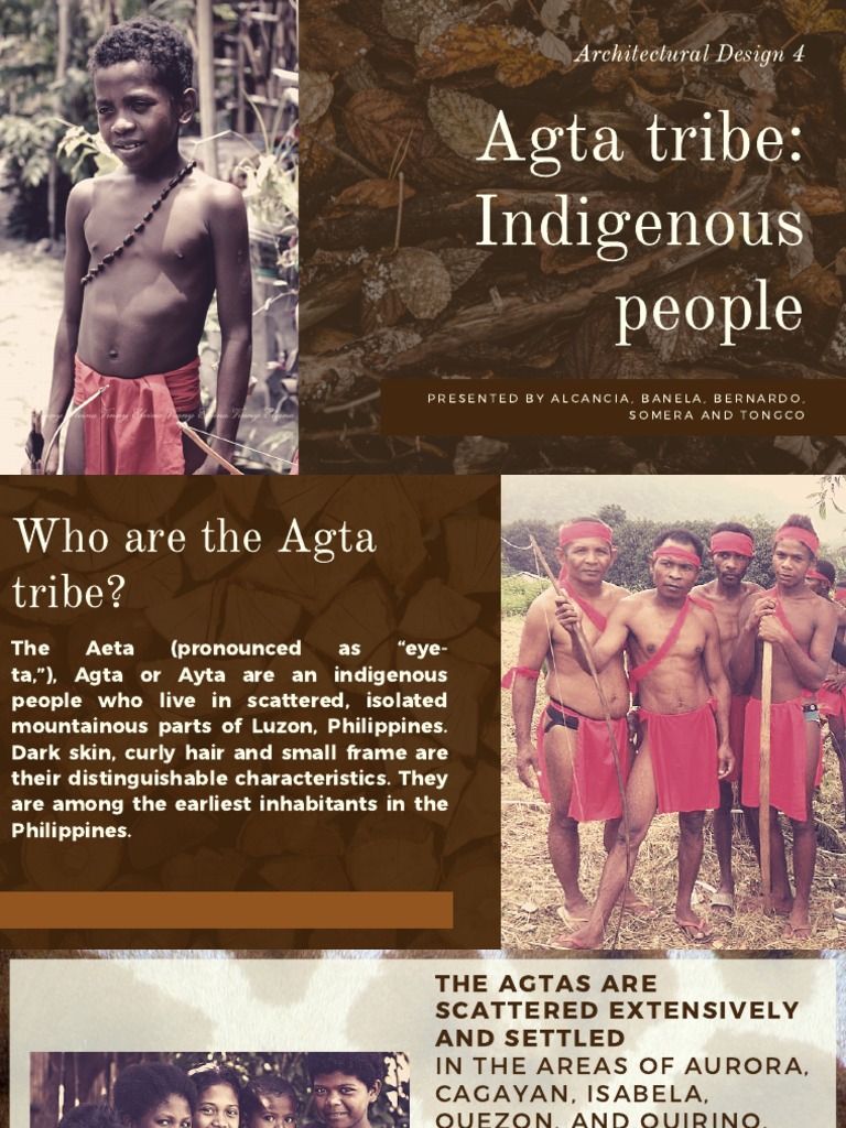 Agta Tribe - Indigenous People PDF | PDF