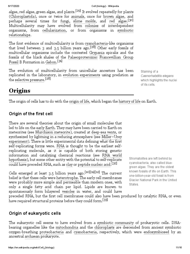 Cell (Biology) | PDF | Cell (Biology) | Life Sciences