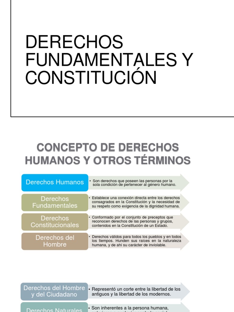 Derechos Fundamentales y La Constitucion | PDF | Derechos | Derechos ...