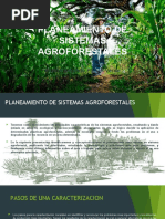 Sistemas de Roza y Quema en Agricultura | PDF | Los bosques | Agricultura