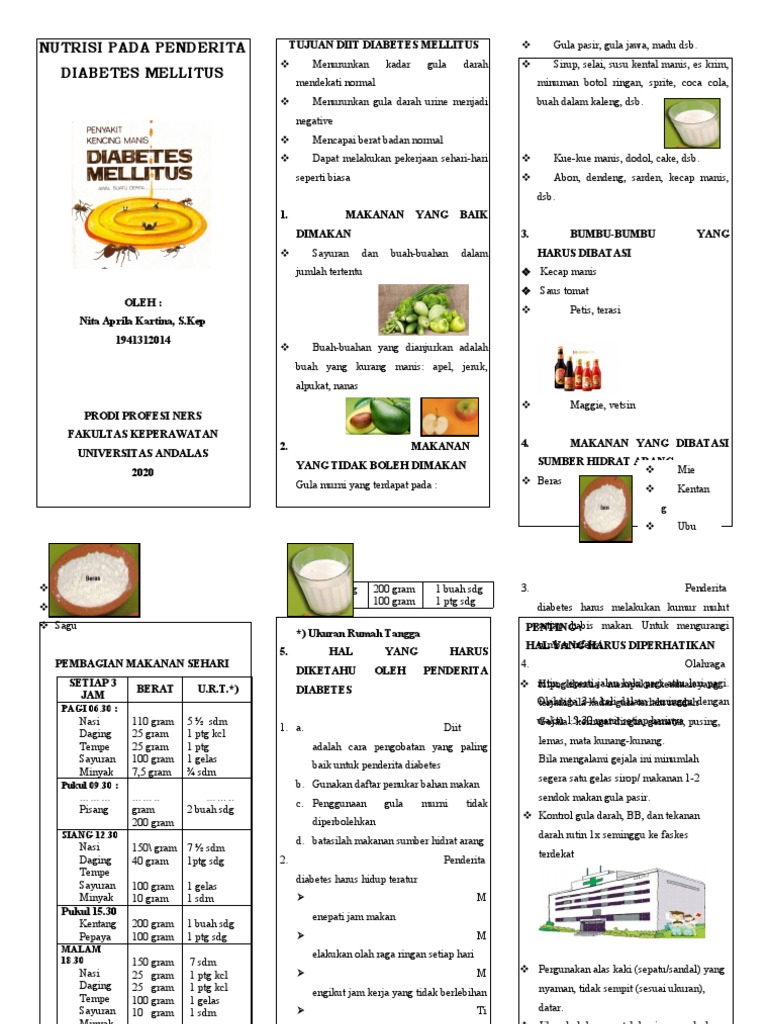 Leaflet Diit DM | PDF