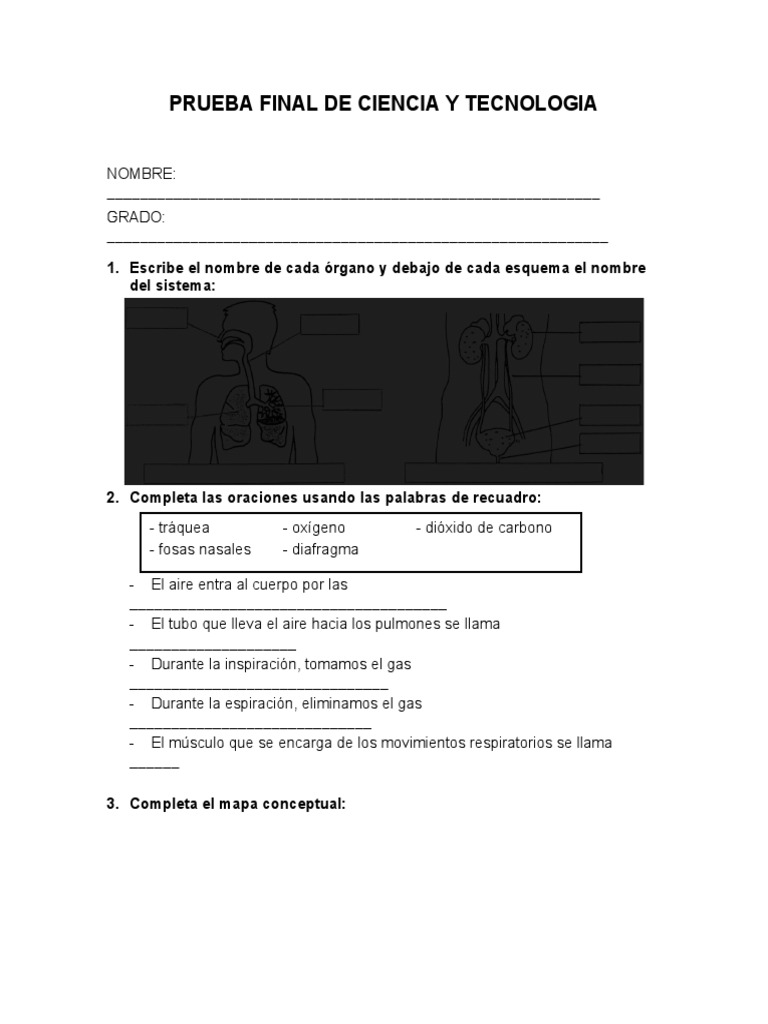 Prueba Final de Ciencia y Tecnologia | PDF | Planetas | Dom