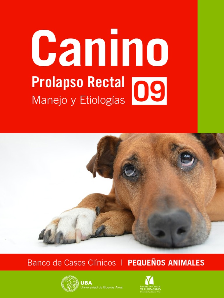 Caso Prolapso Rectal Imprimible | PDF | Ciencias de la Salud ...