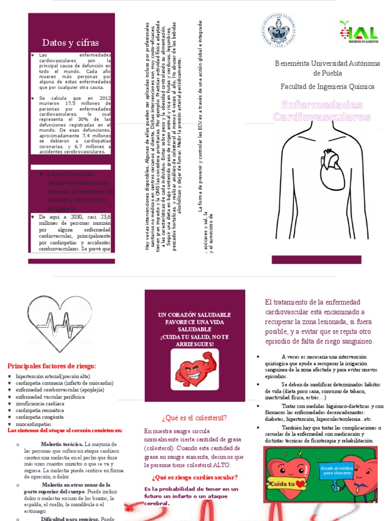 Triptico de Enfermedades Cardiovasculares | PDF | Infarto de miocardio ...