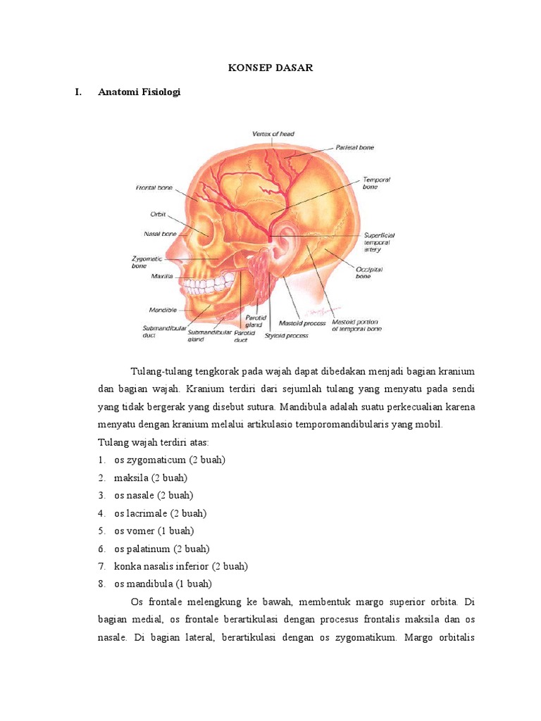 LP FRAKTUR ZYGOMA Fix | PDF