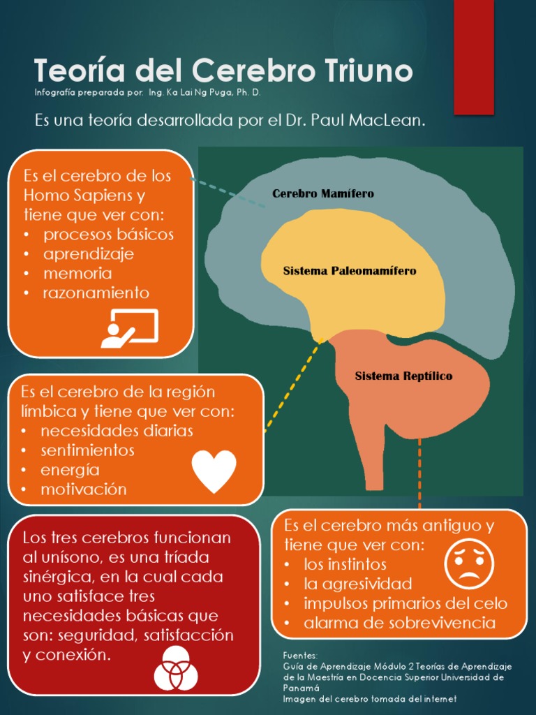 Teoría Del Cerebro Triuno | PDF | Ciencia y matemática