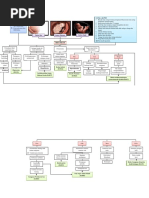Woc Intranatal Care | PDF