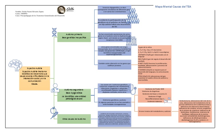 Mapa Mental Causas TEA | PDF | Espectro autista | Especialidades Medicas