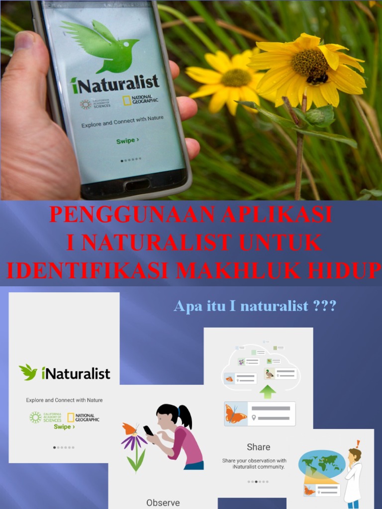 Inaturalist 1 | PDF